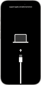 Step-by-Step Guide to Restore Your iPhone Device - SimplyMac