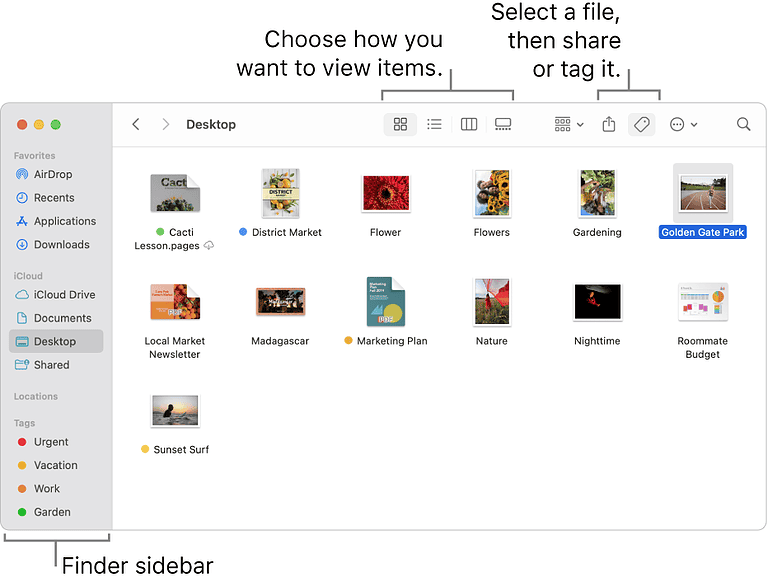 How to Access Your Mac's Hidden Files - SimplyMac