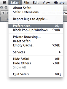 Inspecting Web Pages in Safari on macOS: Developer Tools - SimplyMac