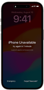 iPhone Passcode Not Working - SimplyMac