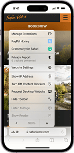 How Do I Make Safari Full Screen On My iPhone? - SimplyMac