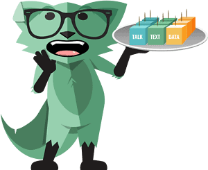 How To Get Your Mint Mobile Account Number - SimplyMac