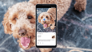 Google Lens Alternatives (Visual Search) - SimplyMac