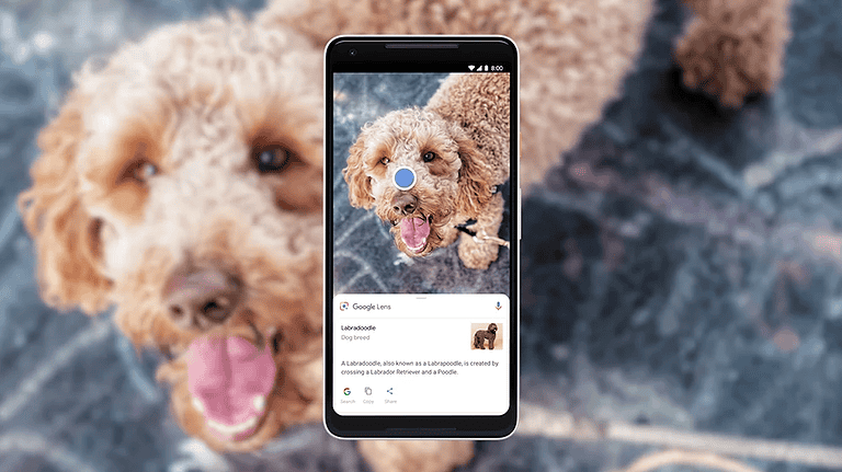 Google Lens Alternatives (Visual Search) - SimplyMac