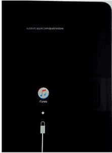 How to Enter DFU Mode on iPad Air: Step By Step - SimplyMac