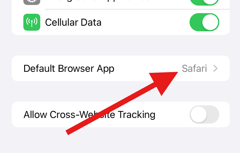 Changing Your Default Browser On iPhone (With Pictures) - SimplyMac