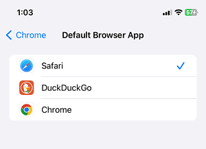 Changing Your Default Browser On iPhone (With Pictures) - SimplyMac