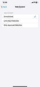 How to Turn Off SafeSearch on iPhone - SimplyMac